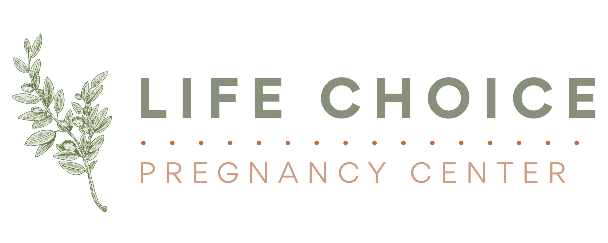 Partners of Life Choice Pregnancy Center – Saving Families One Child at ...